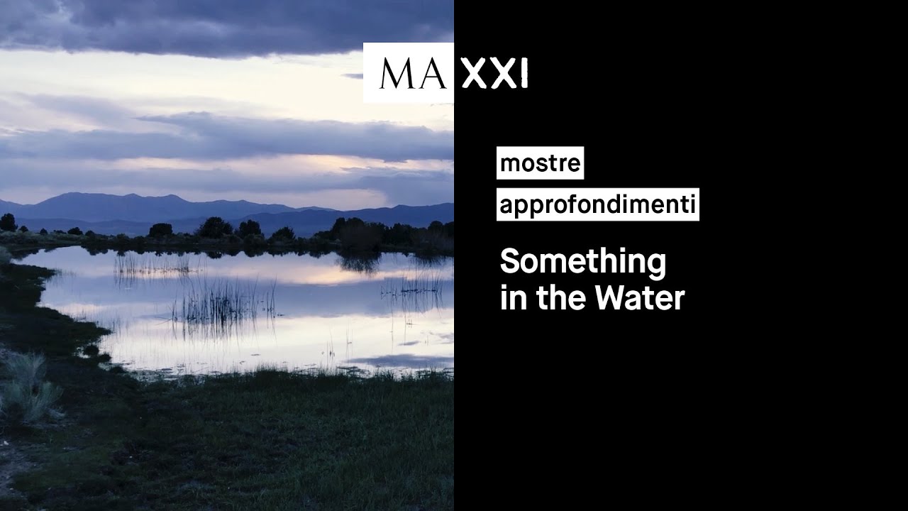 Something in the Water | MAXXI